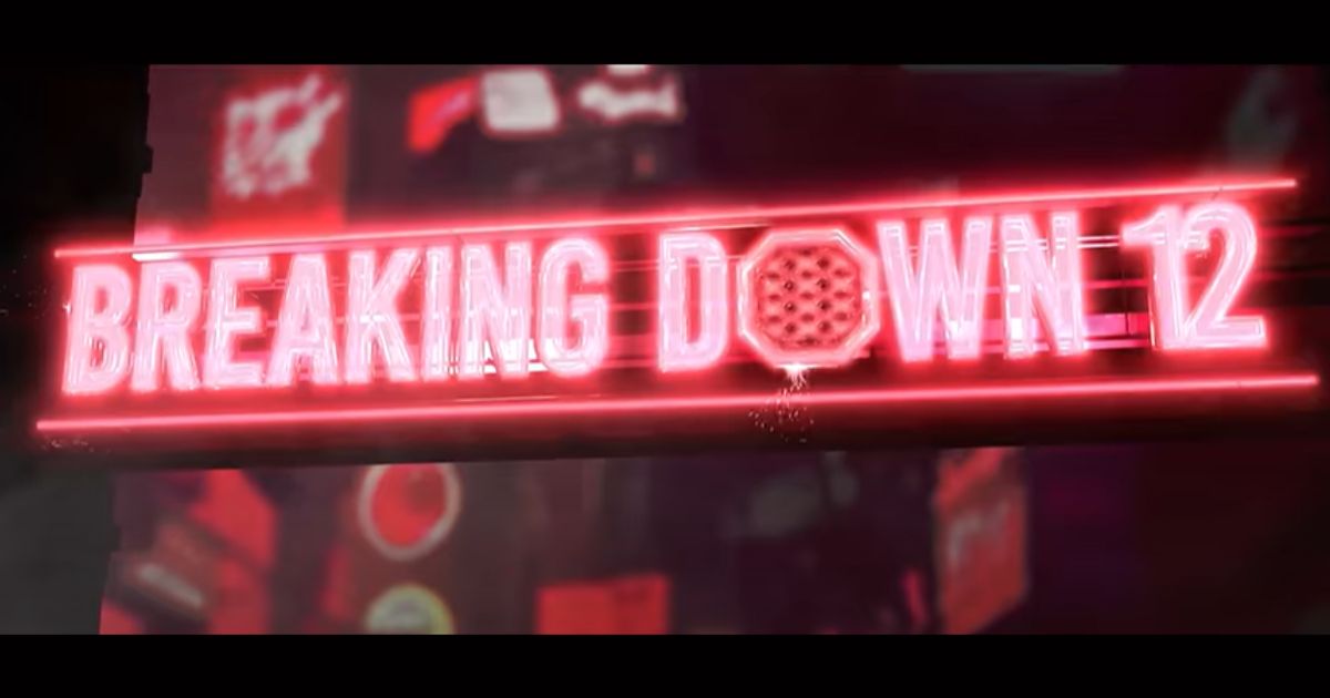 地下格のレジェンド『ヒロ三河』の仕事は？三河幕府についても詳しく説明！ | ヨコハチブログ